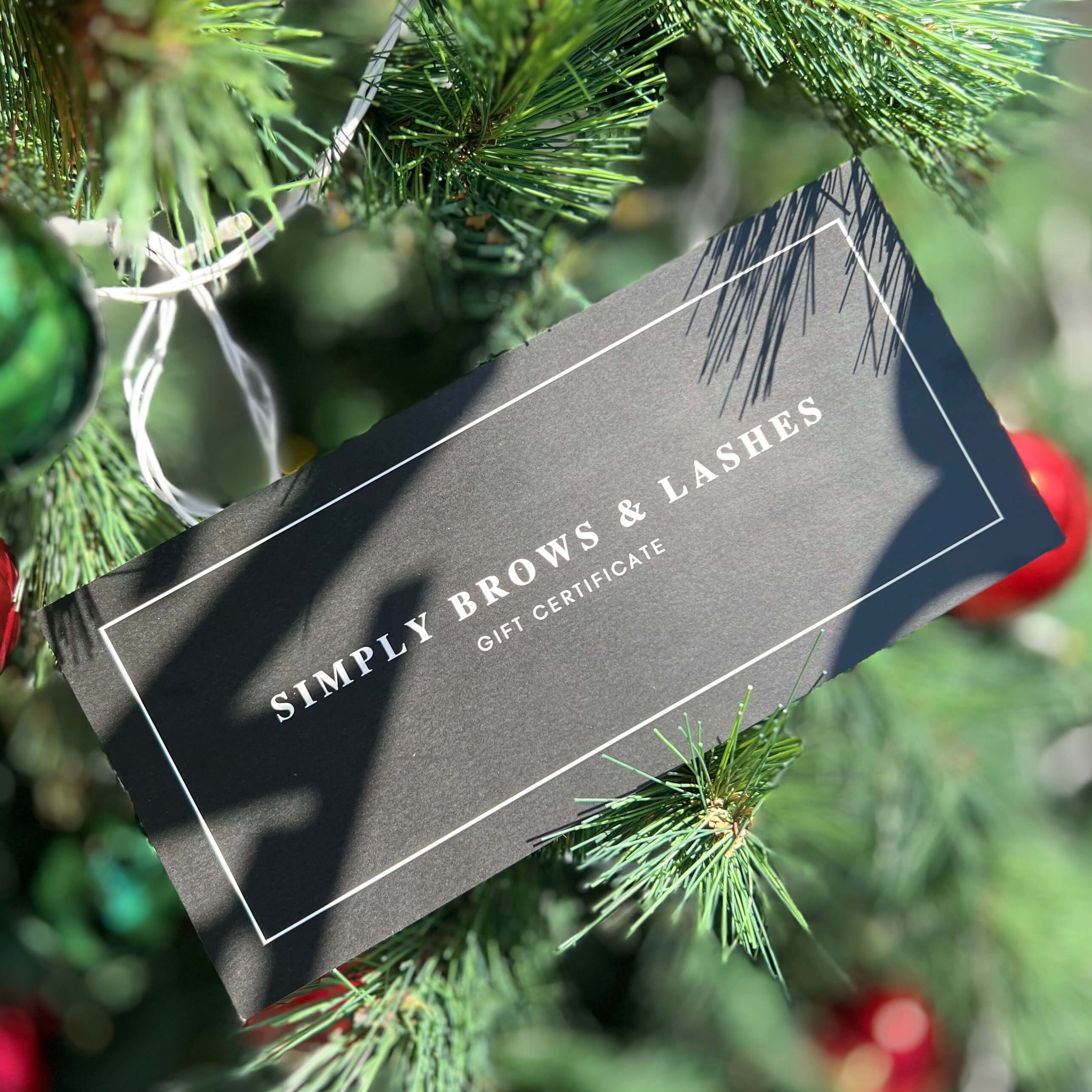 Simply Brows & Lashes